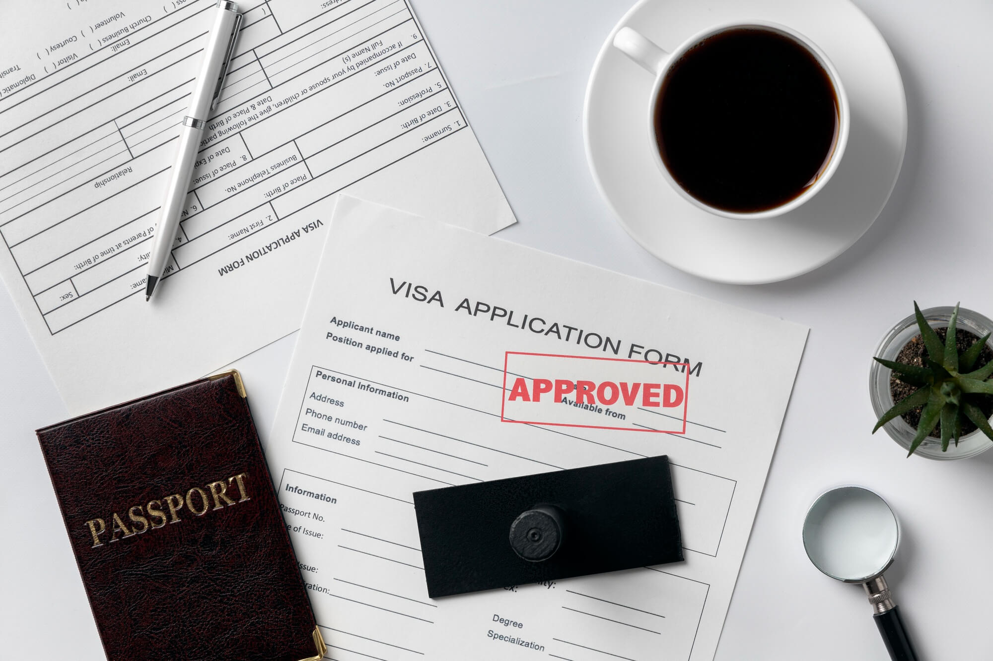Work Visas Demystified: Choosing the Right Visa for Your Career Goals